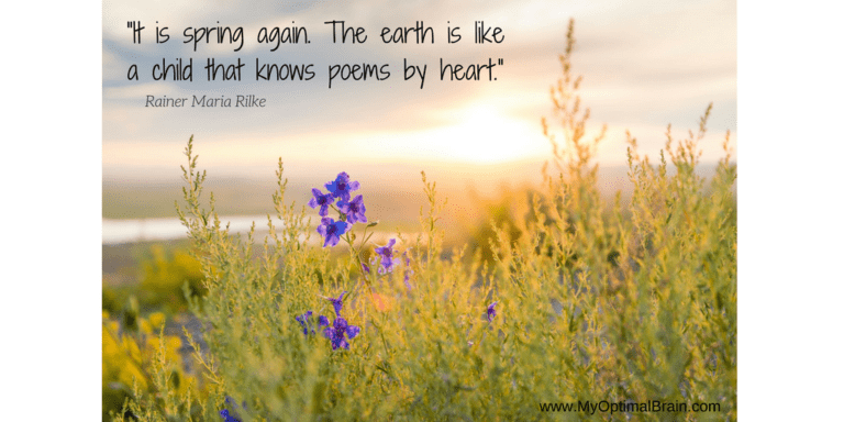 Spring Renewal: Time to Take Care of Your Brain - InnerOptimal Inc.